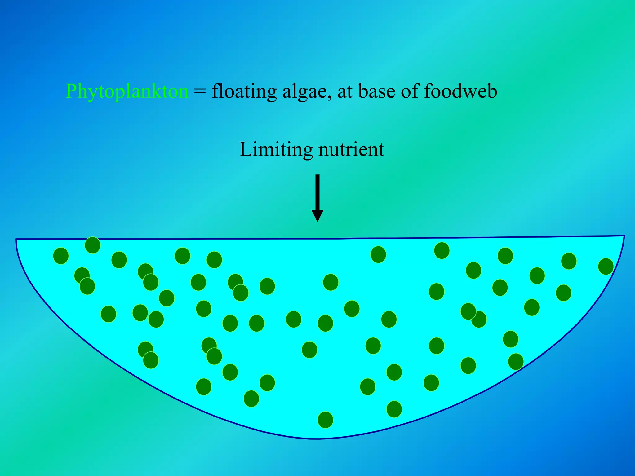 Eutrophication OR hypertrophication | PPT