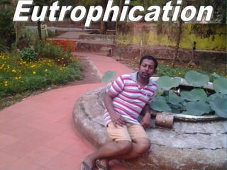 Eutrophication OR hypertrophication | PPT