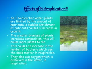 Eutrophication OR hypertrophication | PPT