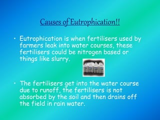 Eutrophication OR hypertrophication | PPT