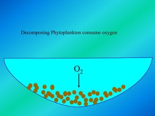 Eutrophication OR hypertrophication | PPT