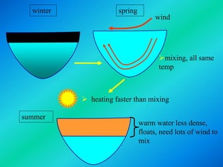 Eutrophication OR hypertrophication | PPT