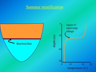 Eutrophication OR hypertrophication | PPT