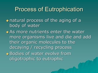 Eutrophication- principle, causes and effects | PPT