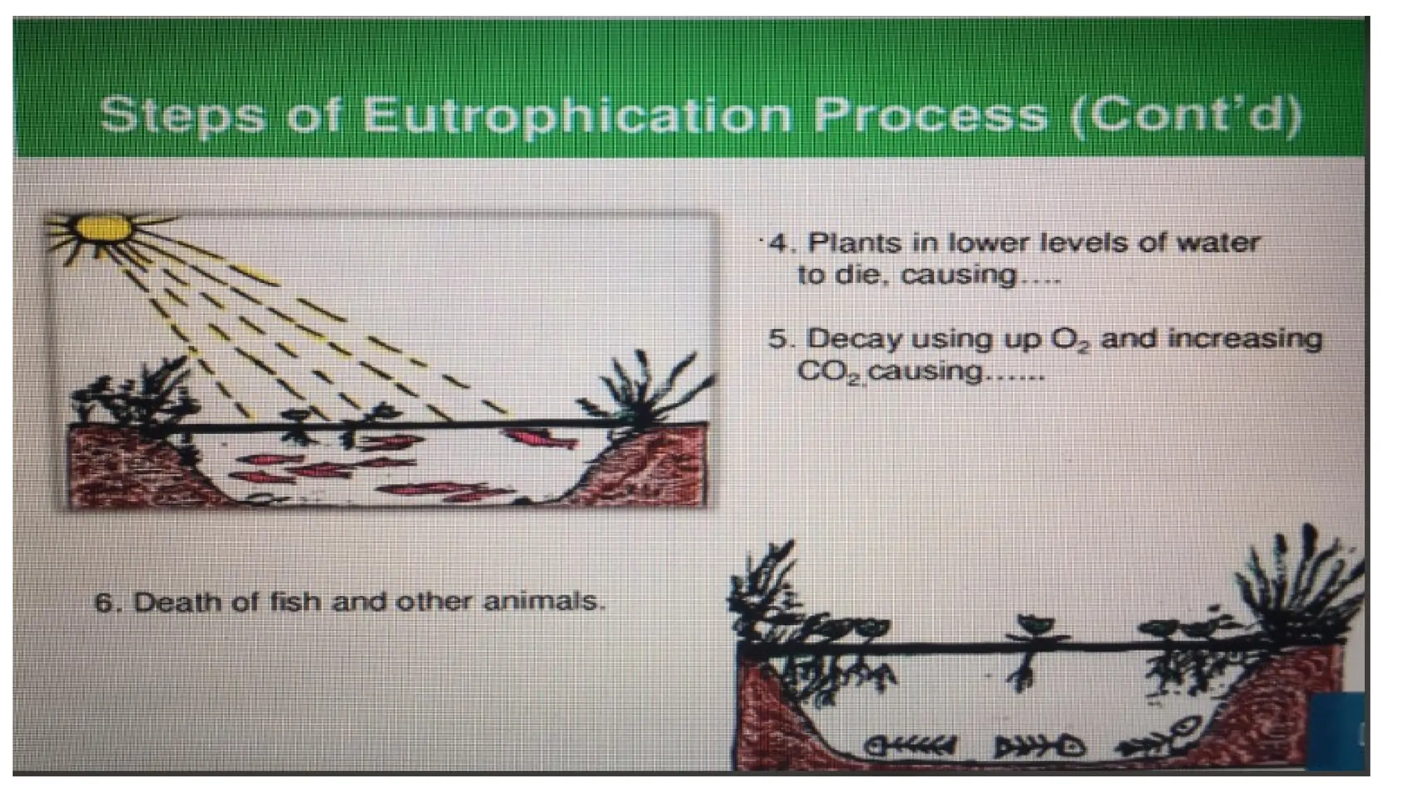 Eutrophication.pptxppppppppppppppppppppp | PPT