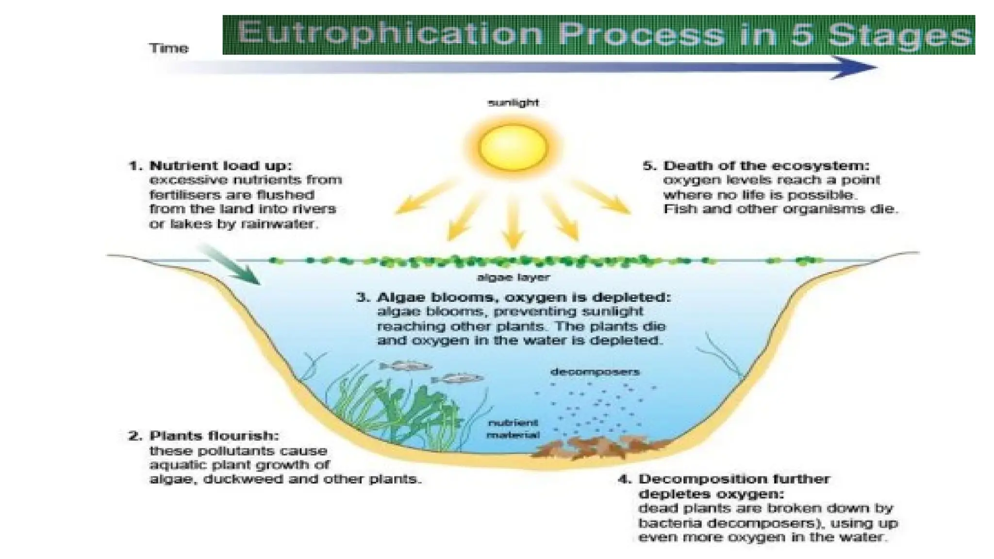 Eutrophication.pptxppppppppppppppppppppp | PPT