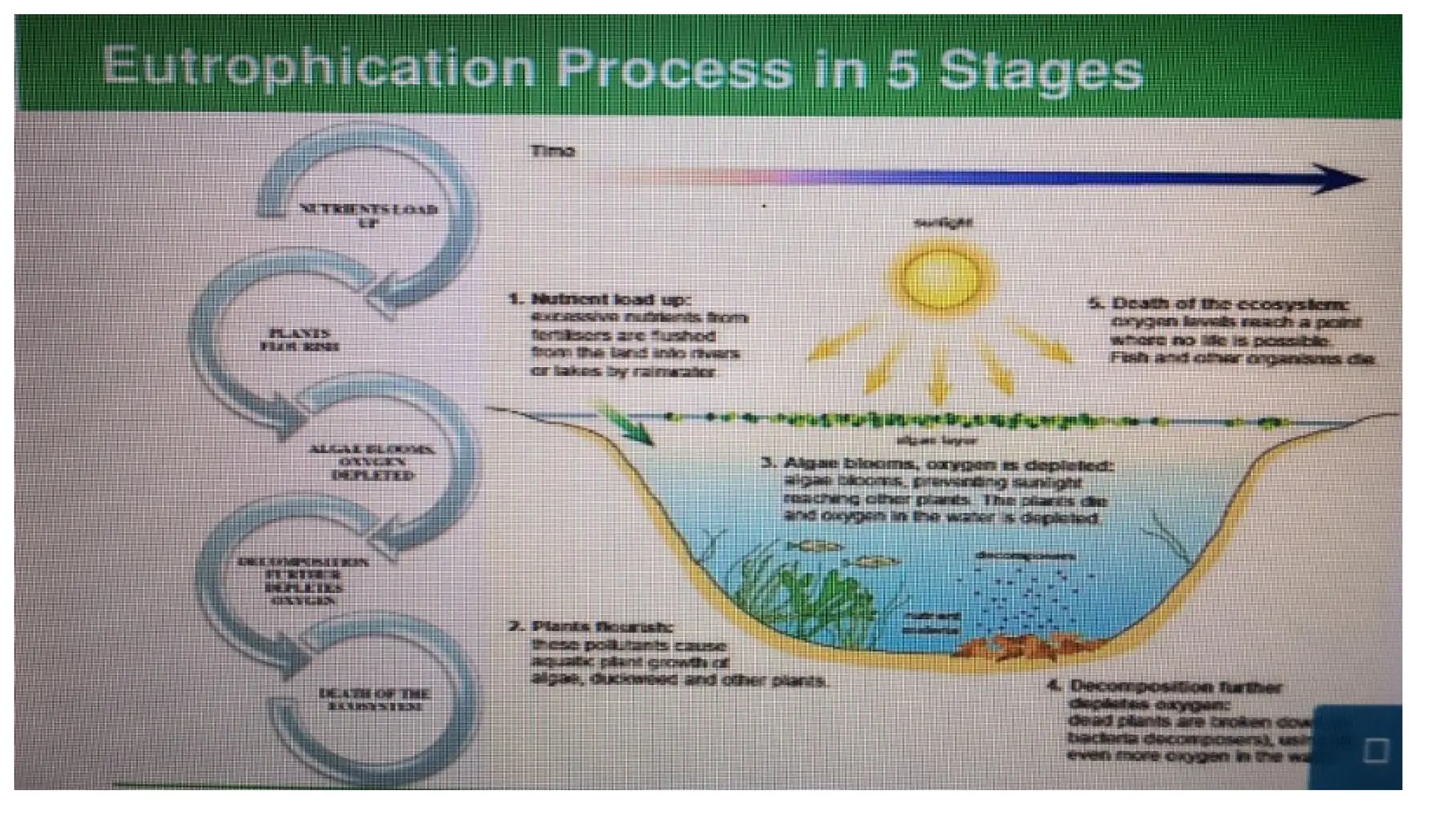 Eutrophication.pptxppppppppppppppppppppp | PPT