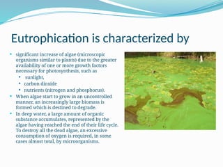eutrophication.ppt in detailed explaination | PPTX