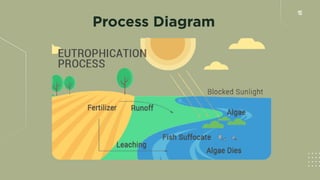 Eutrophication, Biogeochemical Cycles.pdf