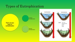 eutrophication in microbiology biotechnology.......pptx