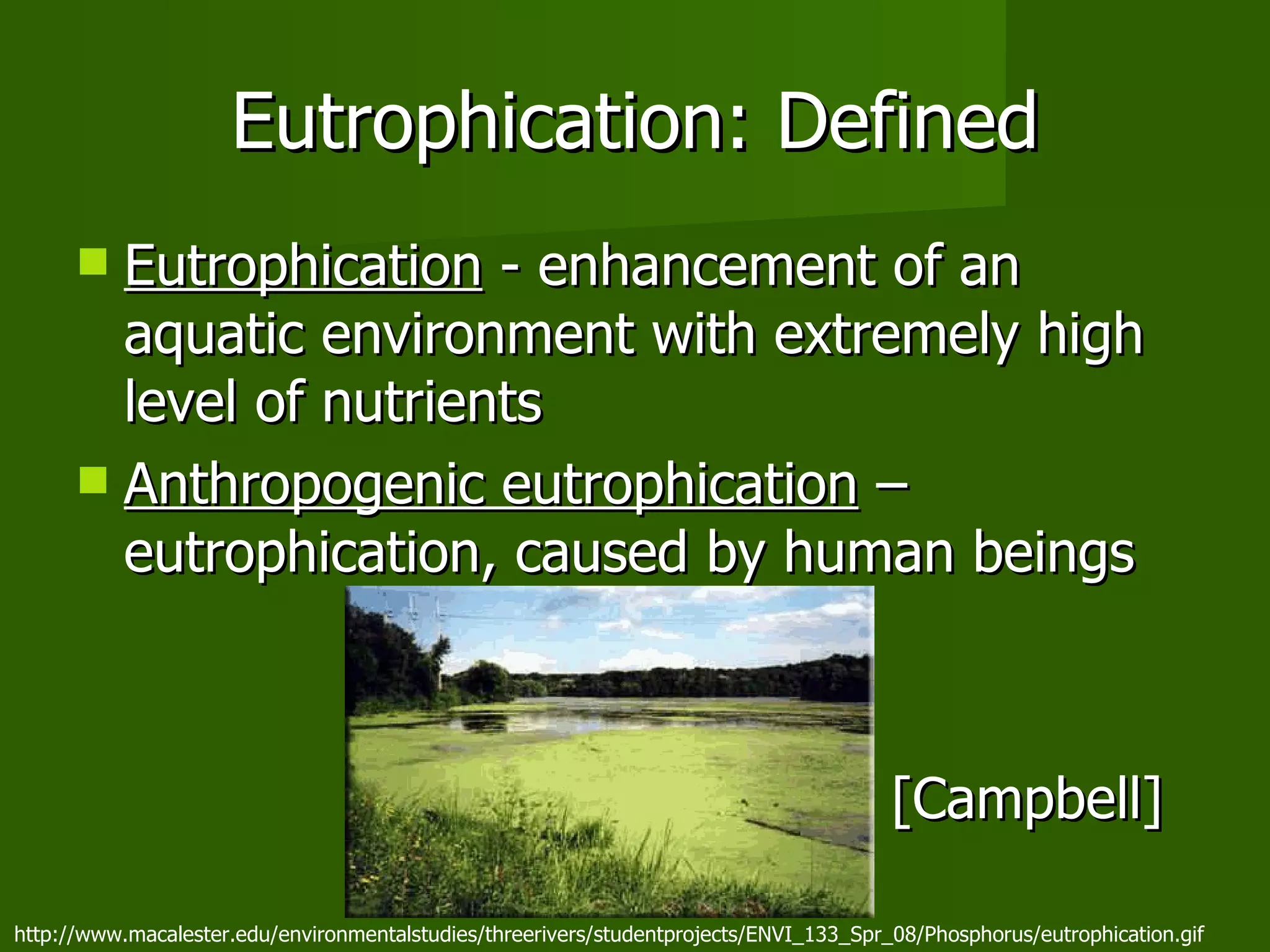 Eutrophication botty hristo_yana_boris_10-5 | PPT