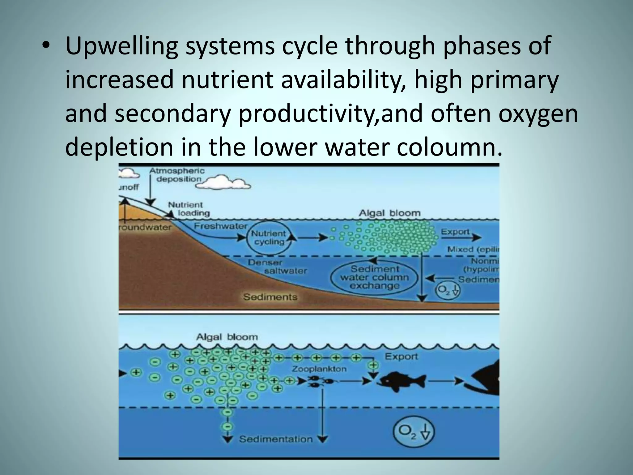 Eutrophication food chain in aquatic ecosystem | PPTX