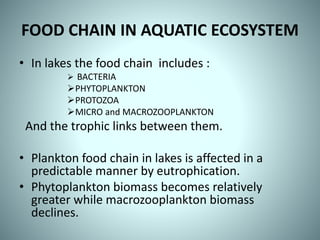 Eutrophication food chain in aquatic ecosystem | PPTX