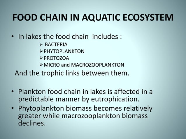 Eutrophication food chain in aquatic ecosystem | PPTX | Zoos ...