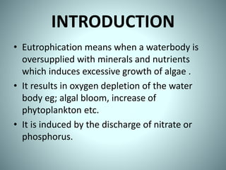 Eutrophication food chain in aquatic ecosystem | PPTX