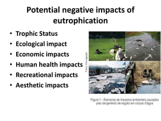 Eutrophication of water body | PPTX
