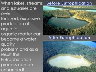 Eutrophication ppt | PPTX
