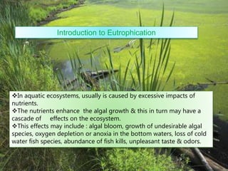 Eutrophication ppt | PPTX | Science
