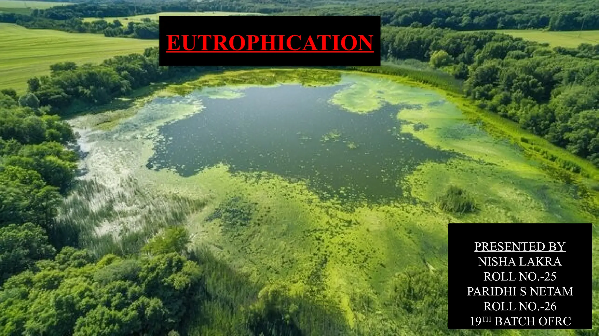 consequence of EUTROPHICATION in modern day.pptx