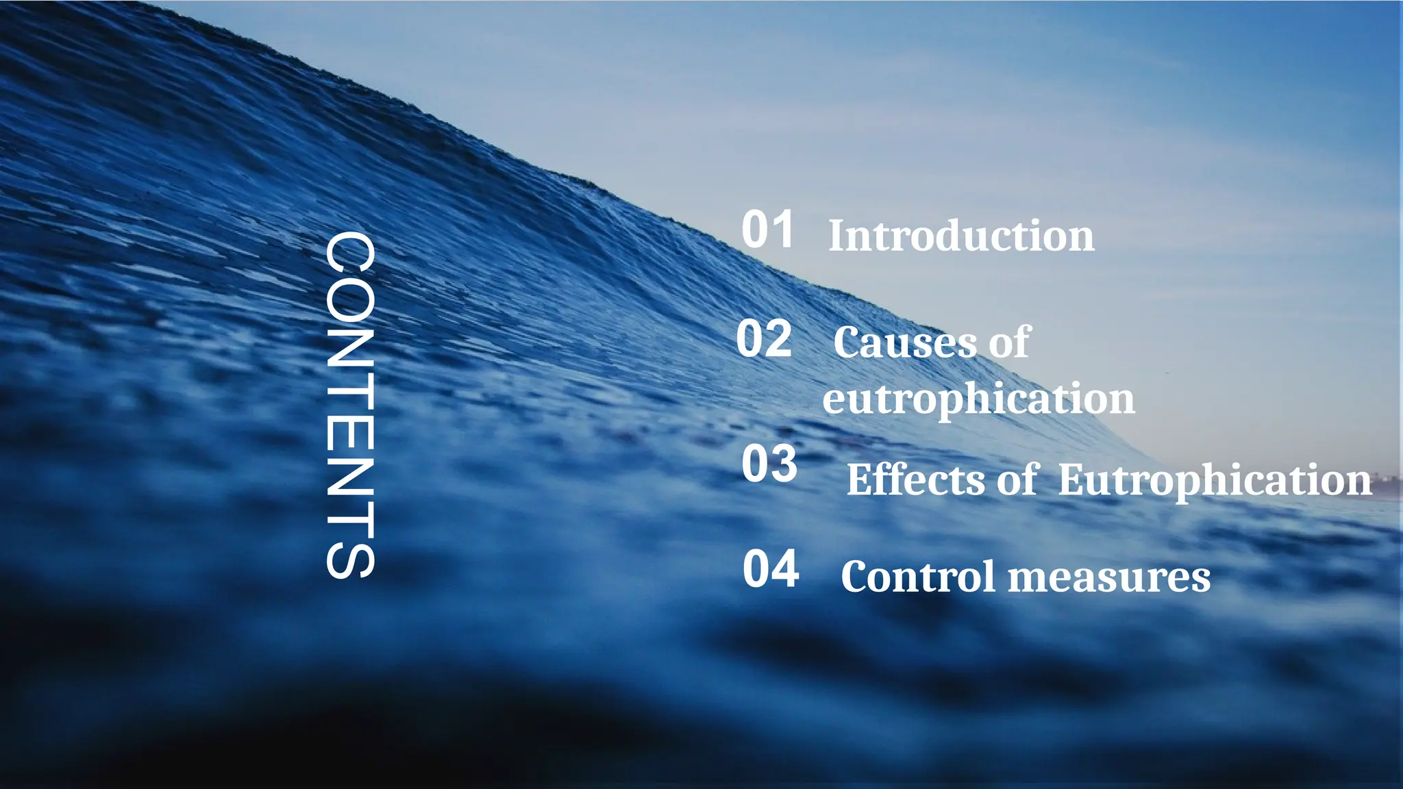 EUTROPHICATION : Introduction, Causes,Effects and Control measures | PPTX