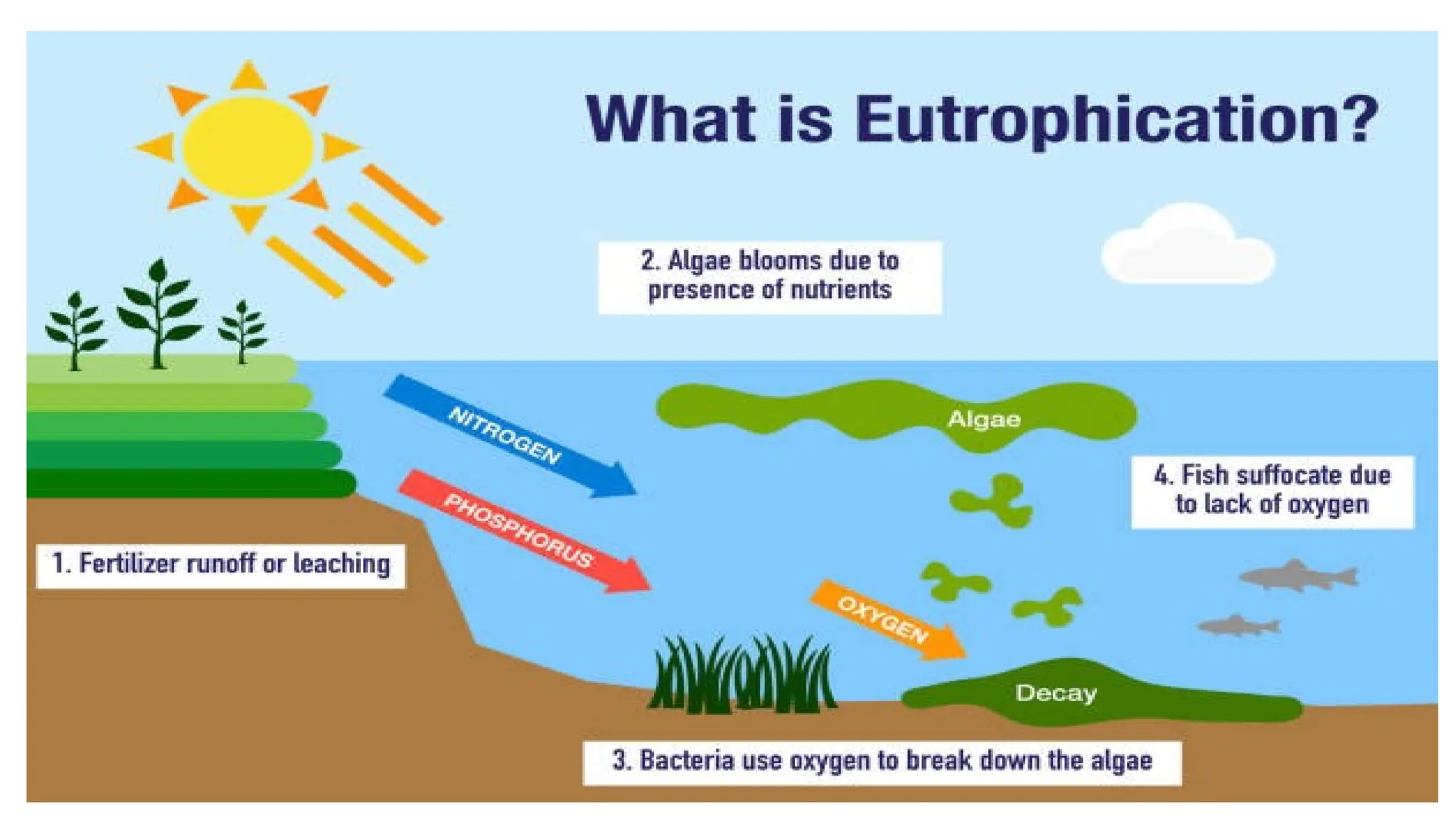 EUTROPHICATION : Introduction, Causes,Effects and Control measures | PPTX