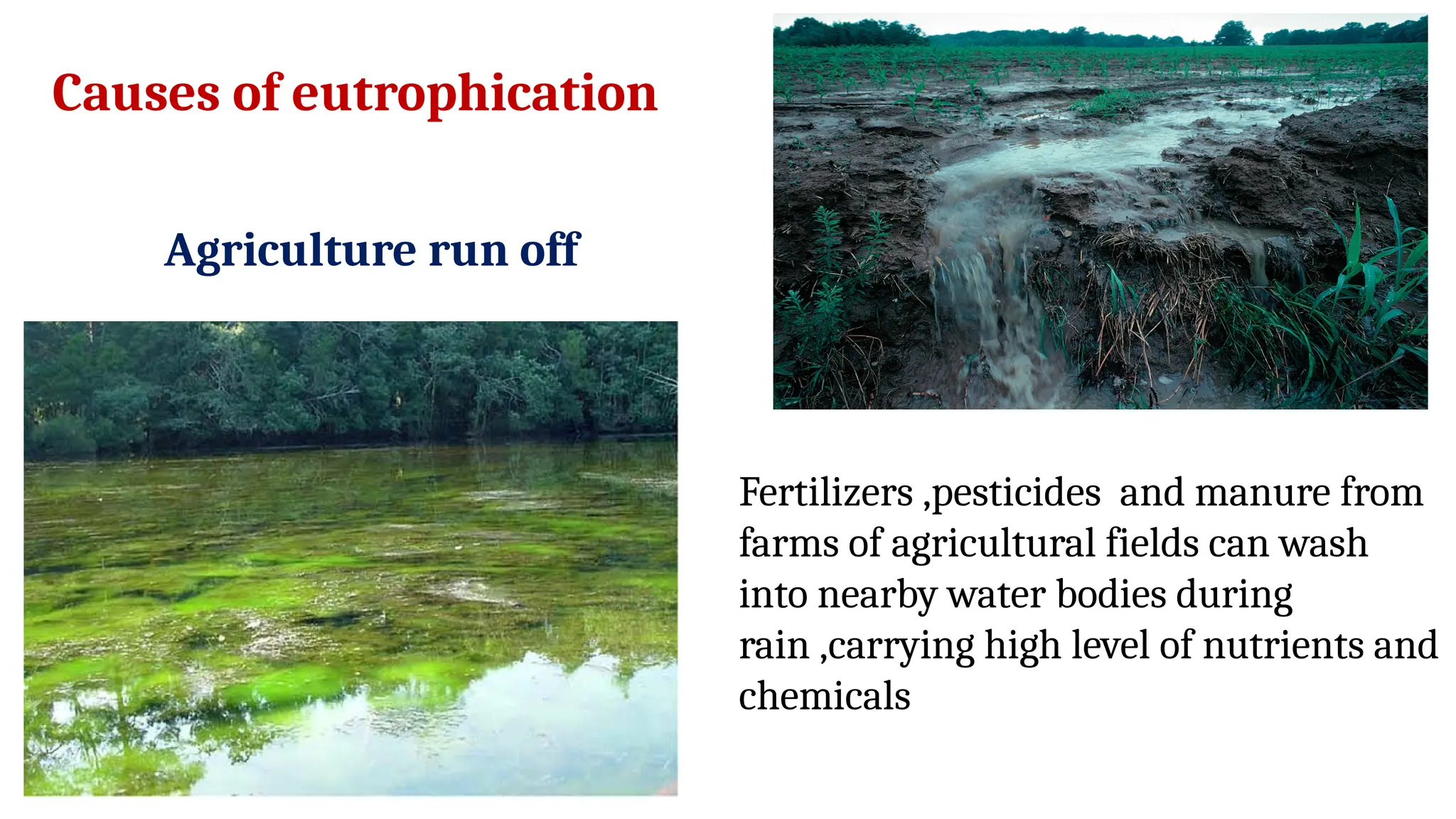 EUTROPHICATION : Introduction, Causes,Effects and Control measures | PPTX