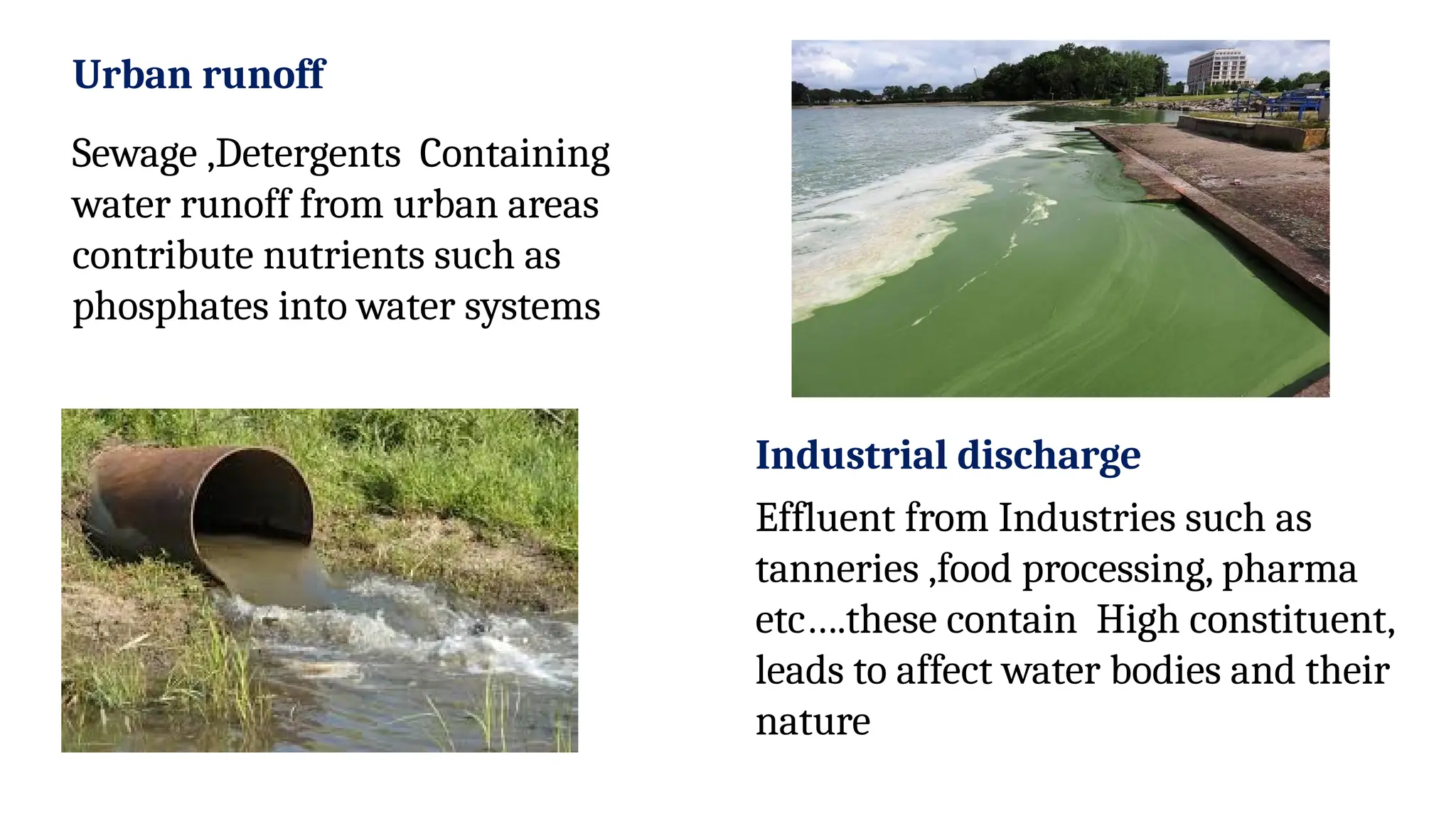 EUTROPHICATION : Introduction, Causes,Effects and Control measures | PPTX