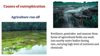 EUTROPHICATION : Introduction, Causes,Effects and Control measures | PPTX