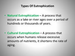 Eutrophications.pptx