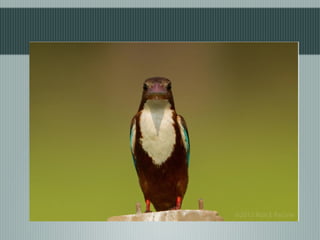 Exposure Value Photography. | PPT