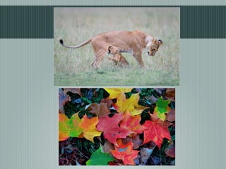 Exposure Value Photography. | PPT