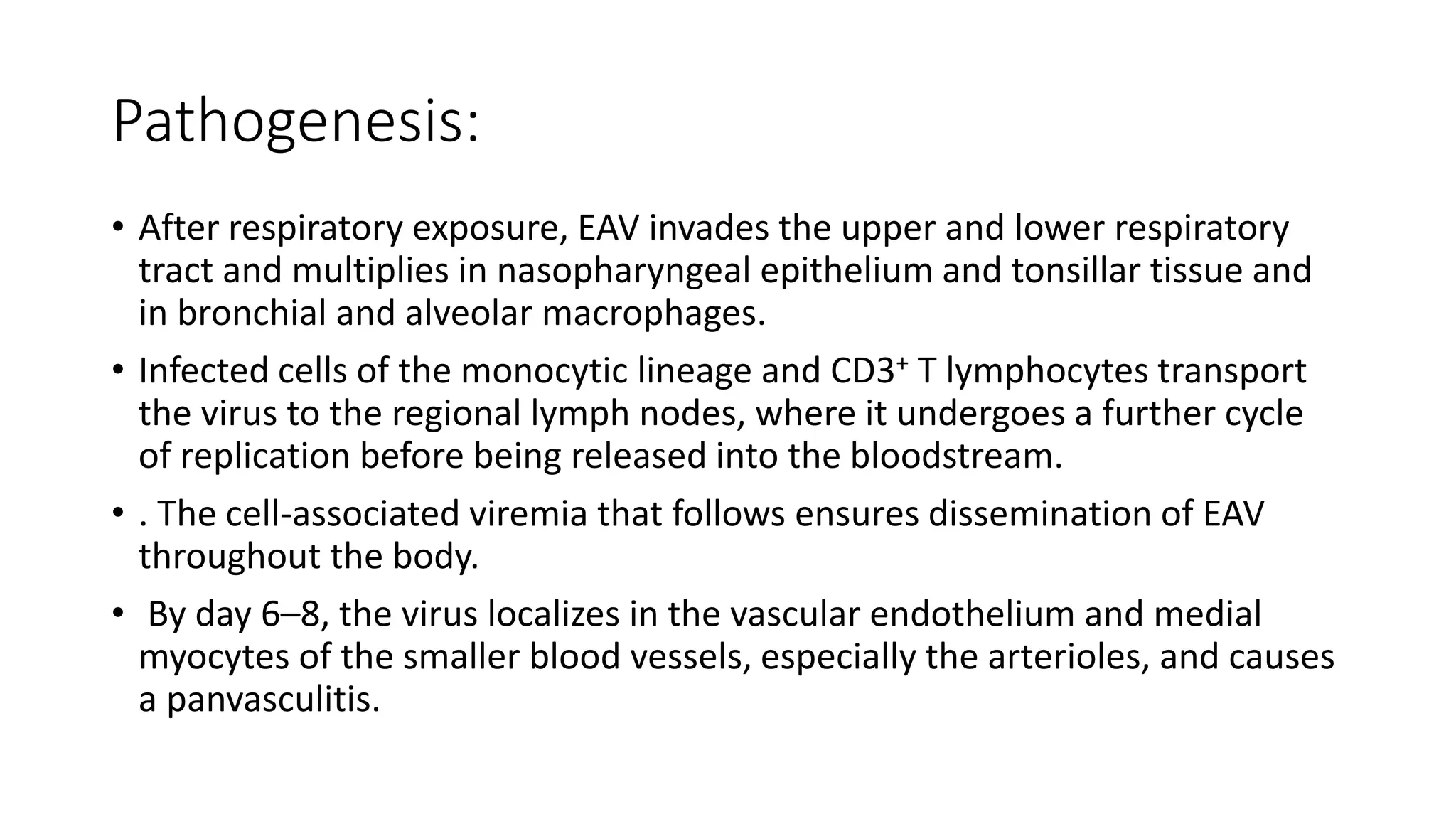 Equine viral arteritis | PPTX