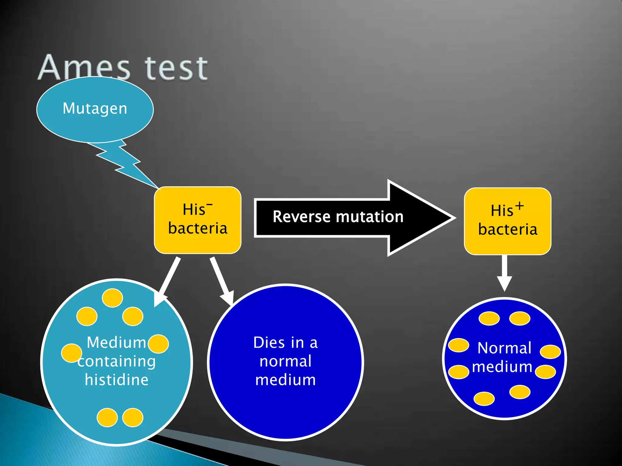 Eva. bio. & toxicity 112070804015 | PPTX