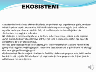 PUNOI BERTI SHEHU | PPTX