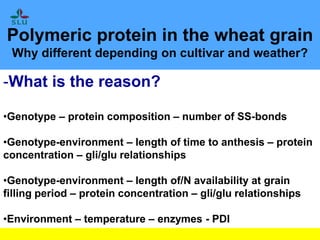 Gluten protein structures: Variation in wheat grain and at various applications | PDF ...