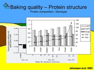 Gluten protein structures: Variation in wheat grain and at various ...