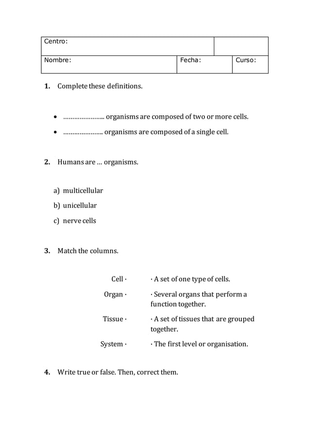 Eval 5epnsc massavia 1generador | PDF