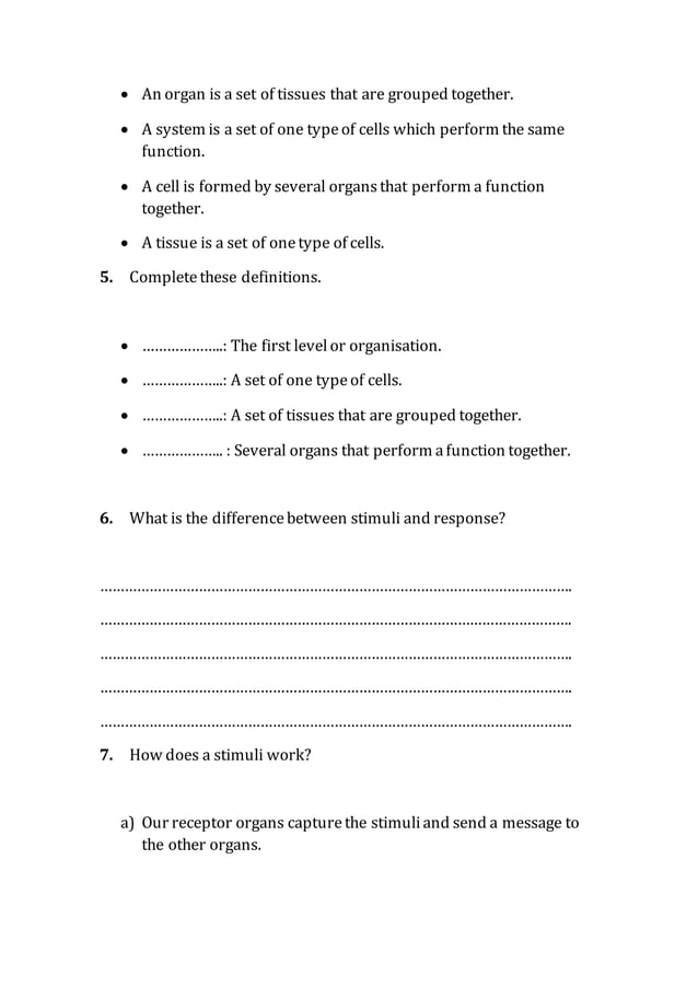 Eval 5epnsc massavia 1generador | PDF