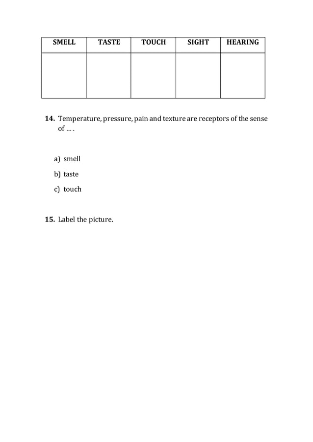 Eval 5epnsc massavia 1generador | PDF
