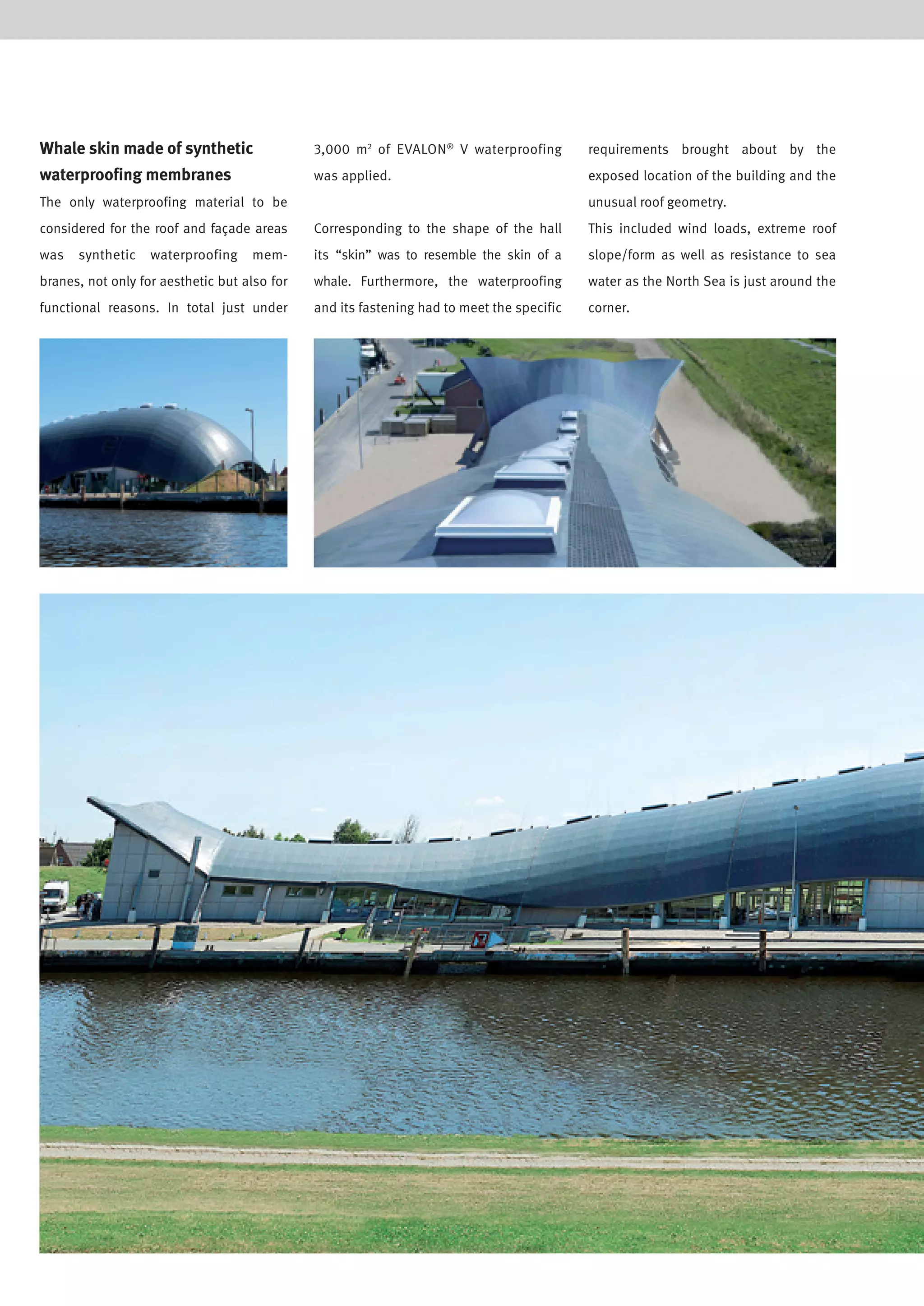 Evalon Waterproofing Case Study - ICB | PDF