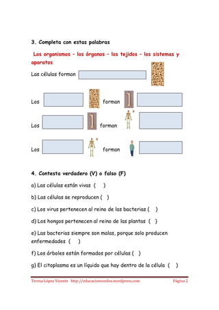 Evaluacion seres vivos 5º primaria | PDF