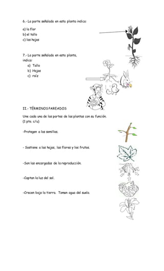 Evaluación 1° las plantas | DOCX