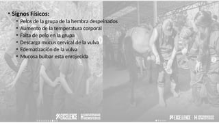 Evaluación de Condición Corporal por Especie_Detección de celos_Período ...
