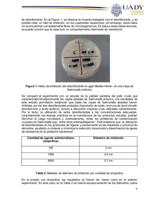 Evaluación de la eficacia de los agentes antimicrobianos | DOCX