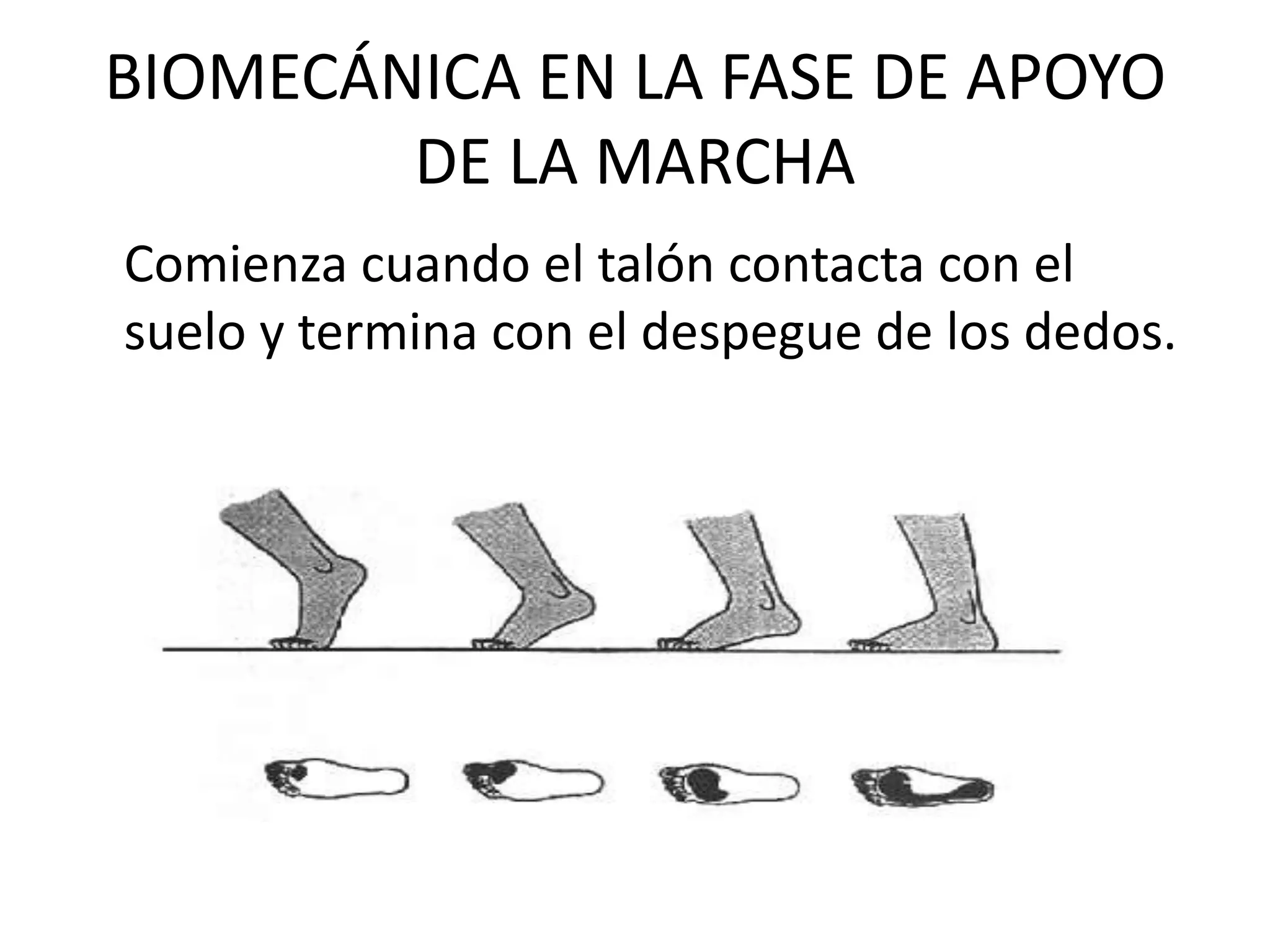 Evaluación de la marcha normal | PPTX
