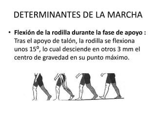 Evaluación de la marcha normal | PPTX