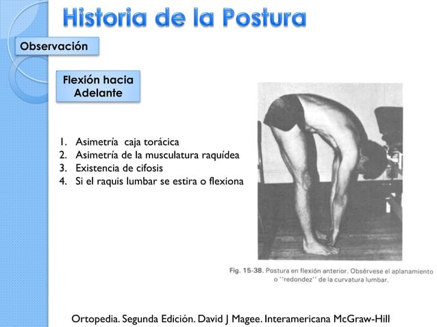 Evaluación de la Postura | PDF