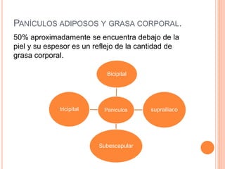 Evaluación del estado de nutrición | PPTX