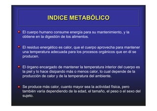 Evaluación del gasto calórico | PDF