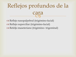 Evaluación de los reflejos | PPTX
